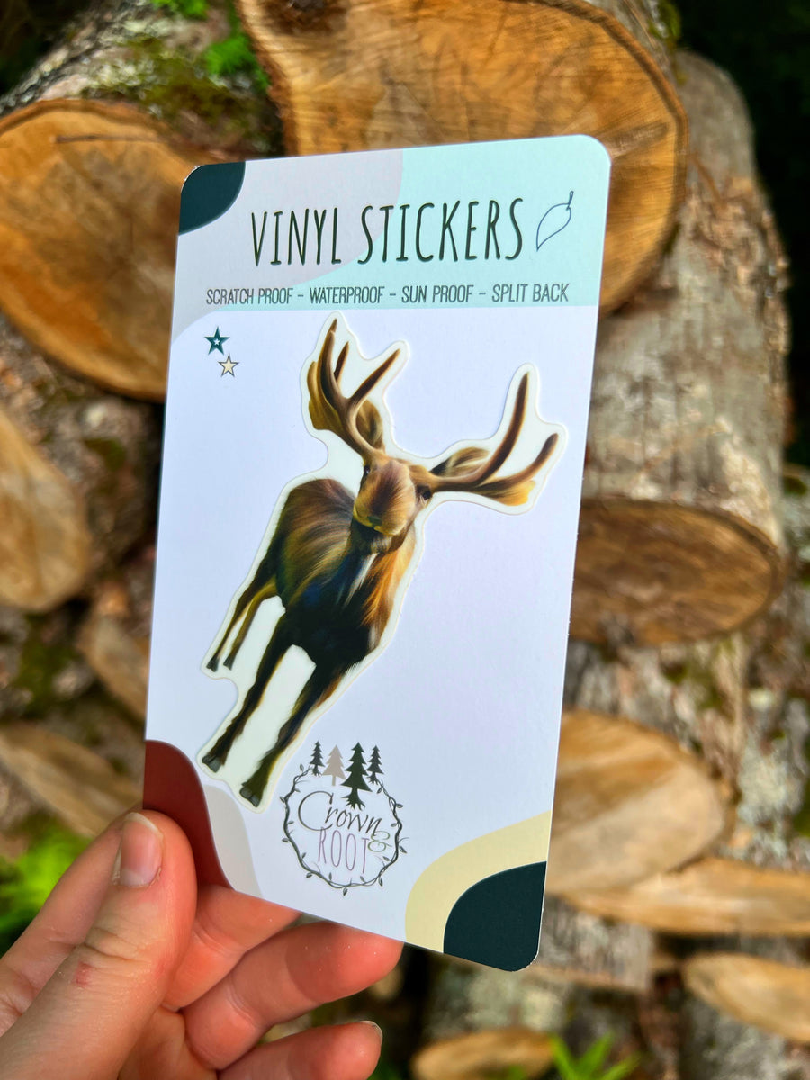 THE MAINE MOOSE Sticker – Crown and Root